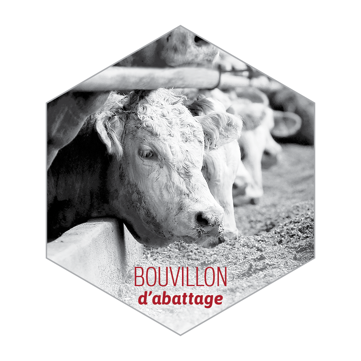 AGR des PBQ 2018 - Bovins