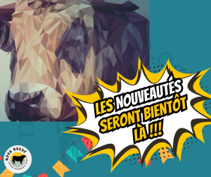 La Minute bovine : août 2025 - Bovins